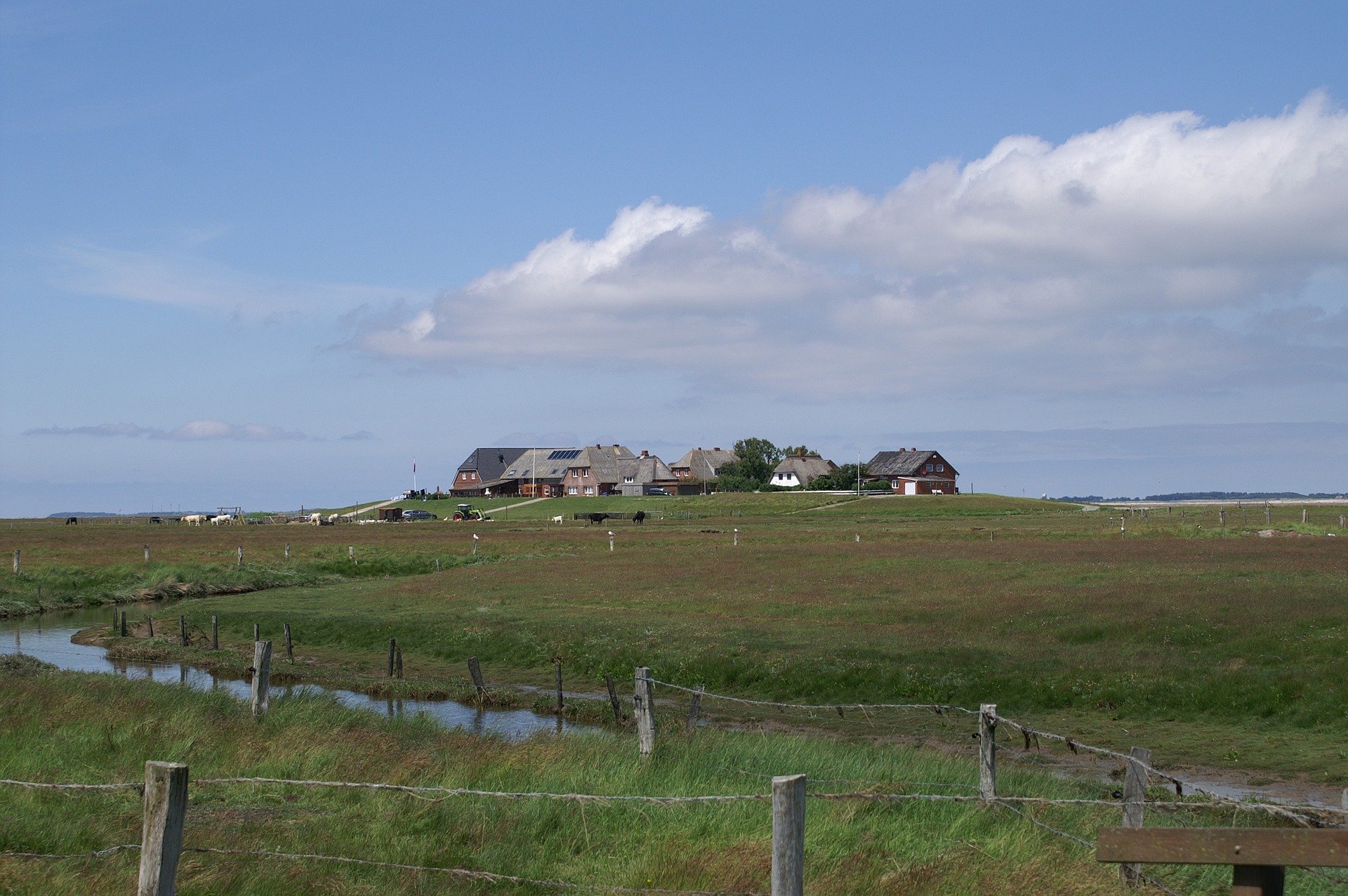 Hallig - Junior Ranger